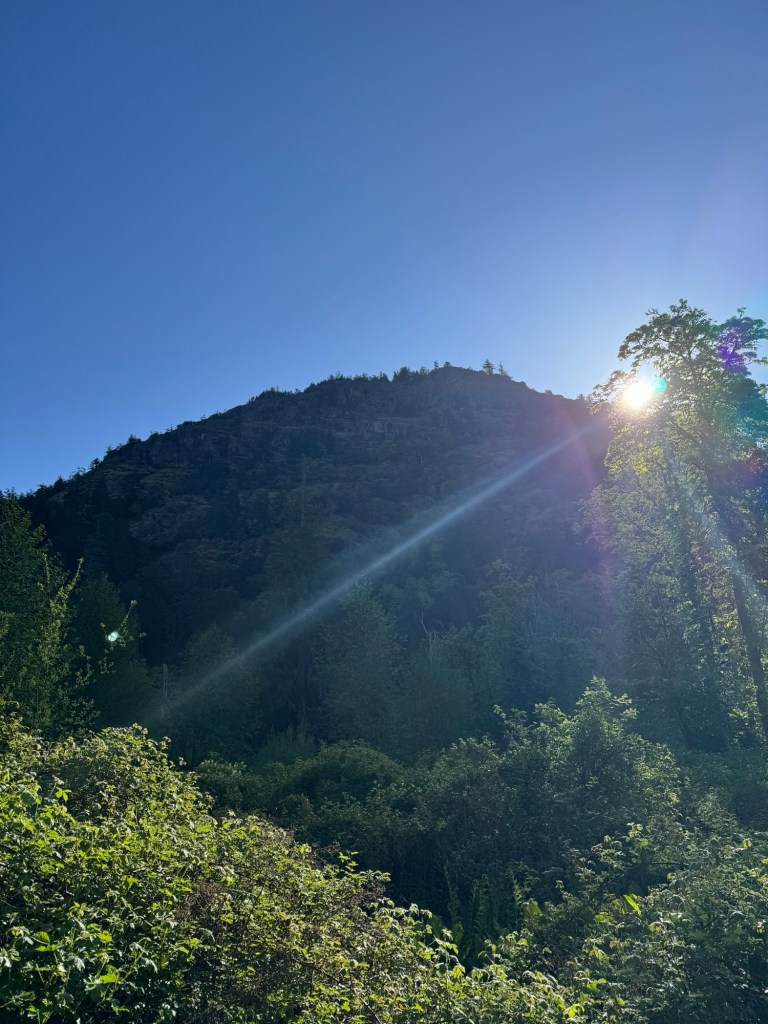 Don’t Give Up What You Love… - Michael’s Space